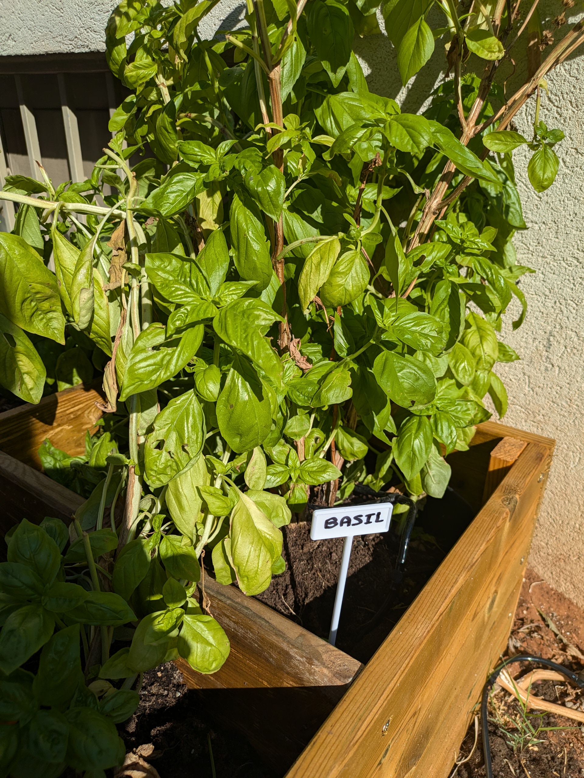 herb sign v1.0 by lin feldy | Download free STL model | Printables.com