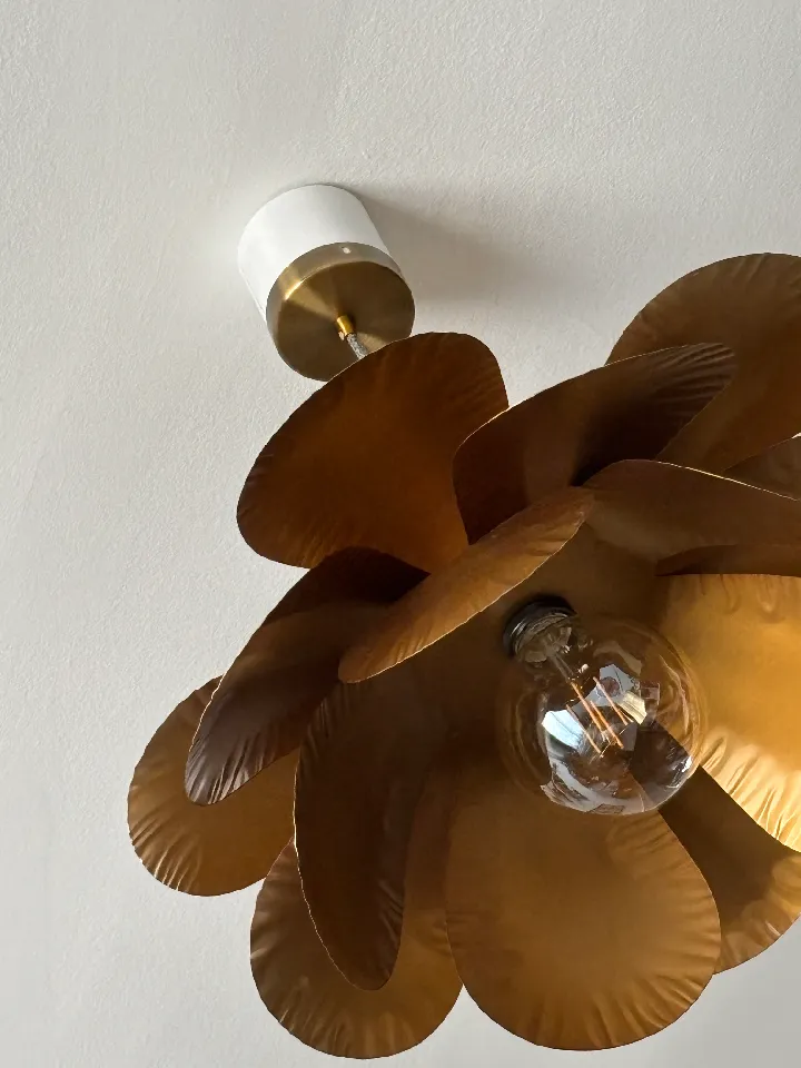 Ceiling light cover by Ashernor | Download free STL model | Printables.com