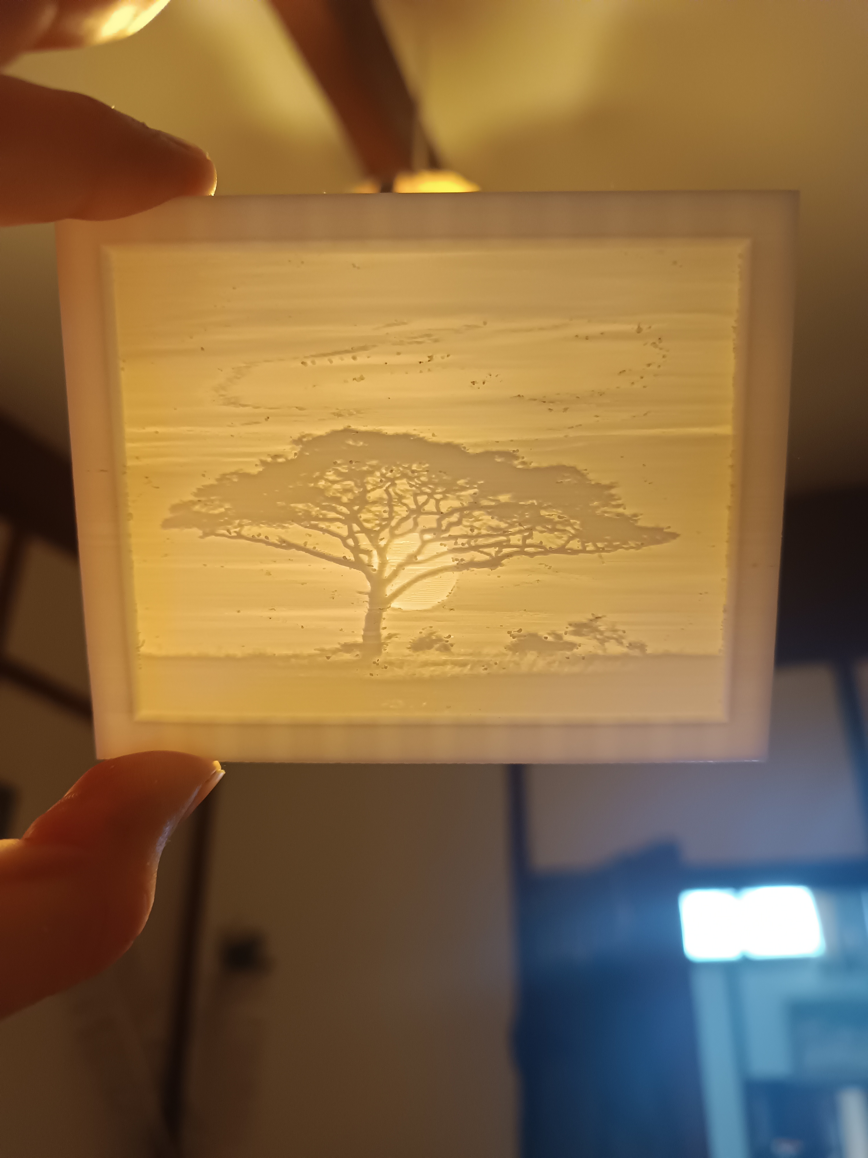 sunset tree lithophane/picture by Alexander Reid | Download free STL ...