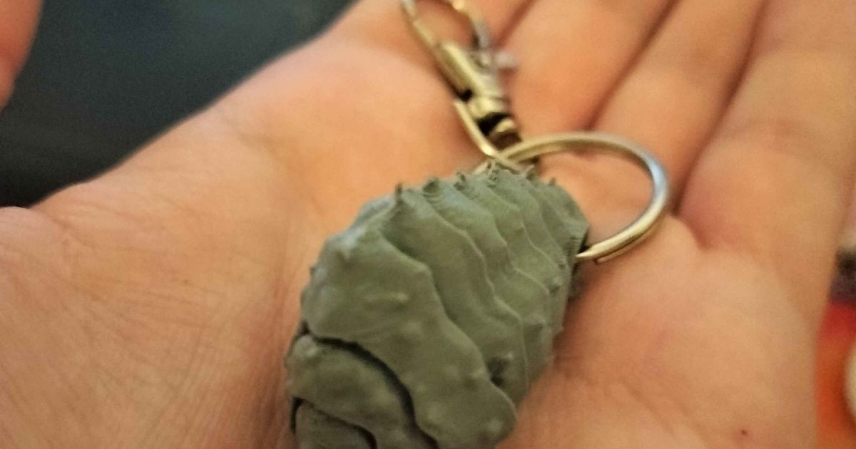 Ohmu Keychain by Santeridahlia | Download free STL model | Printables.com