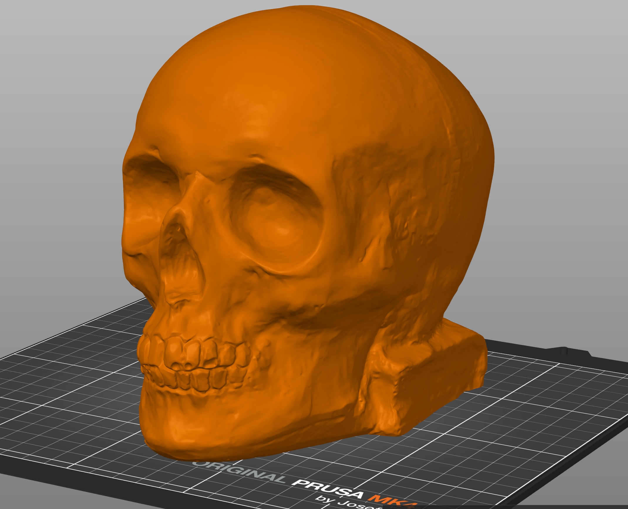 Lebka - Skull by Milan98 | Download free STL model | Printables.com