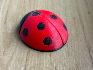 ladybug by sacha | Download free STL model | Printables.com