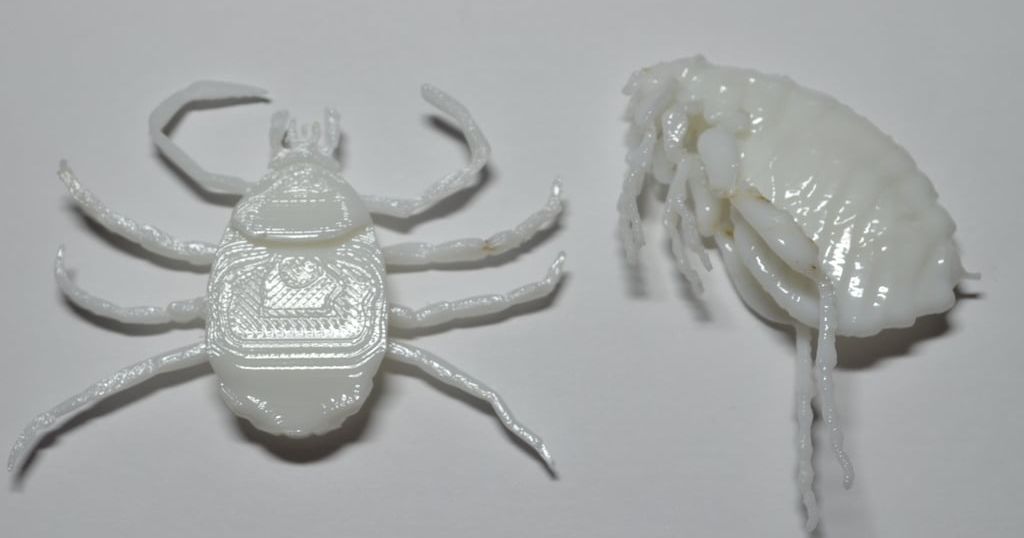 insects remix Flea (Circus play-set)+dog tick by GQRuss | Download free ...