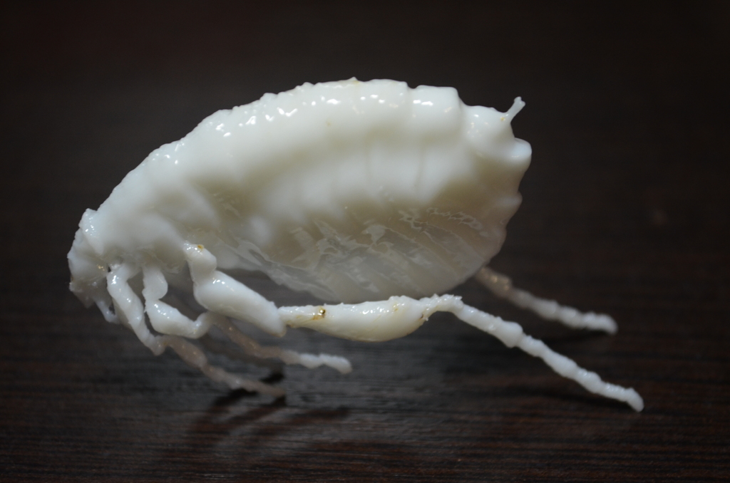 insects remix Flea (Circus play-set)+dog tick by GQRuss | Download free ...