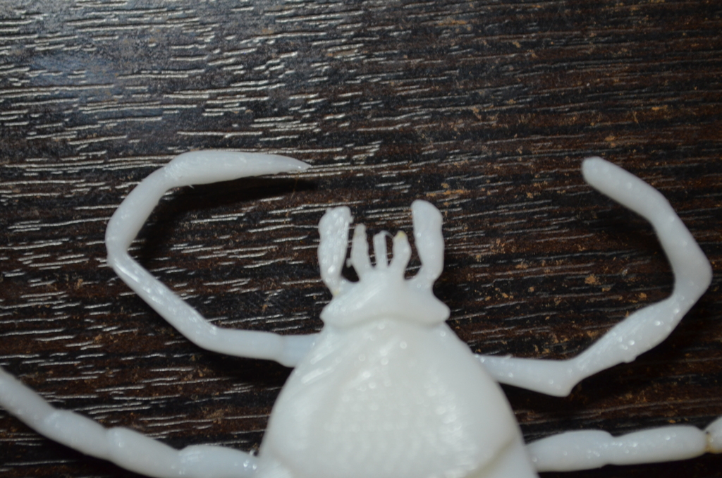 insects remix Flea (Circus play-set)+dog tick by GQRuss | Download free ...