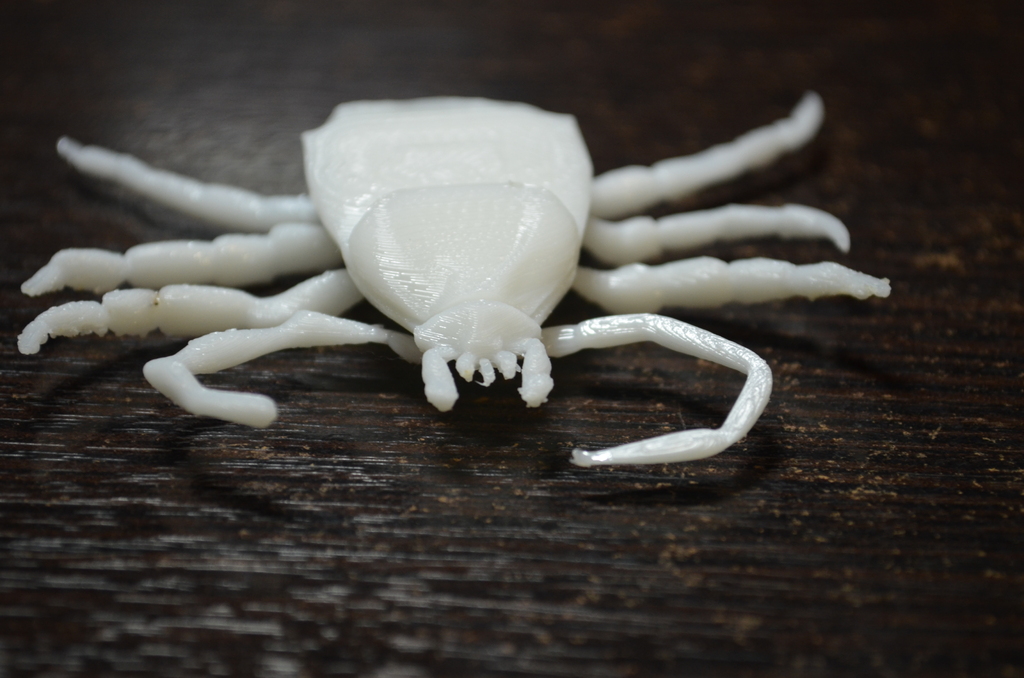 insects remix Flea (Circus play-set)+dog tick by GQRuss | Download free ...