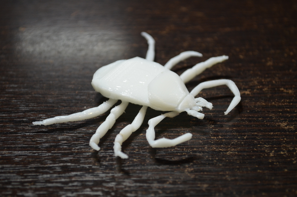 insects remix Flea (Circus play-set)+dog tick by GQRuss | Download free ...