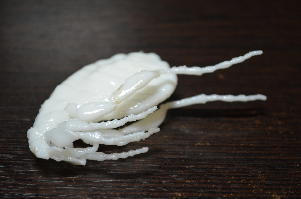 insects remix Flea (Circus play-set)+dog tick by GQRuss | Download free ...