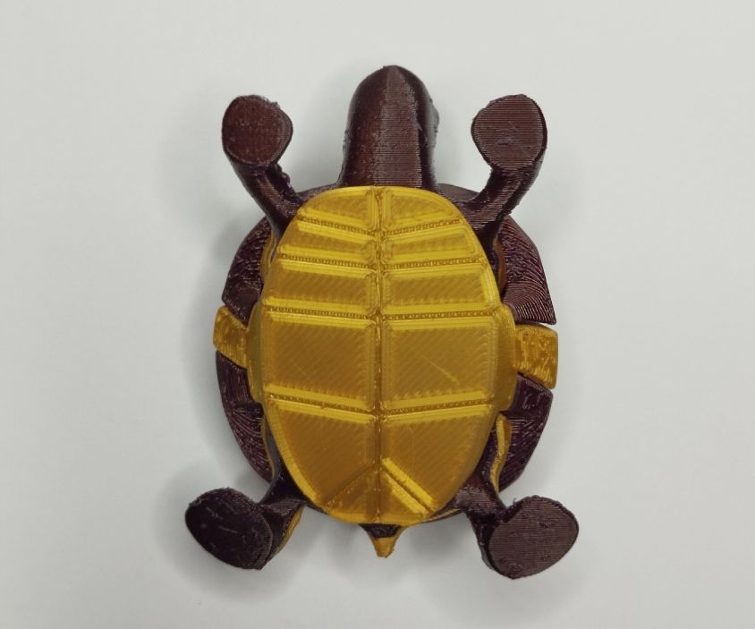 Single Extruder - Dual Color - Turtle by Joe Paradise | Download free ...