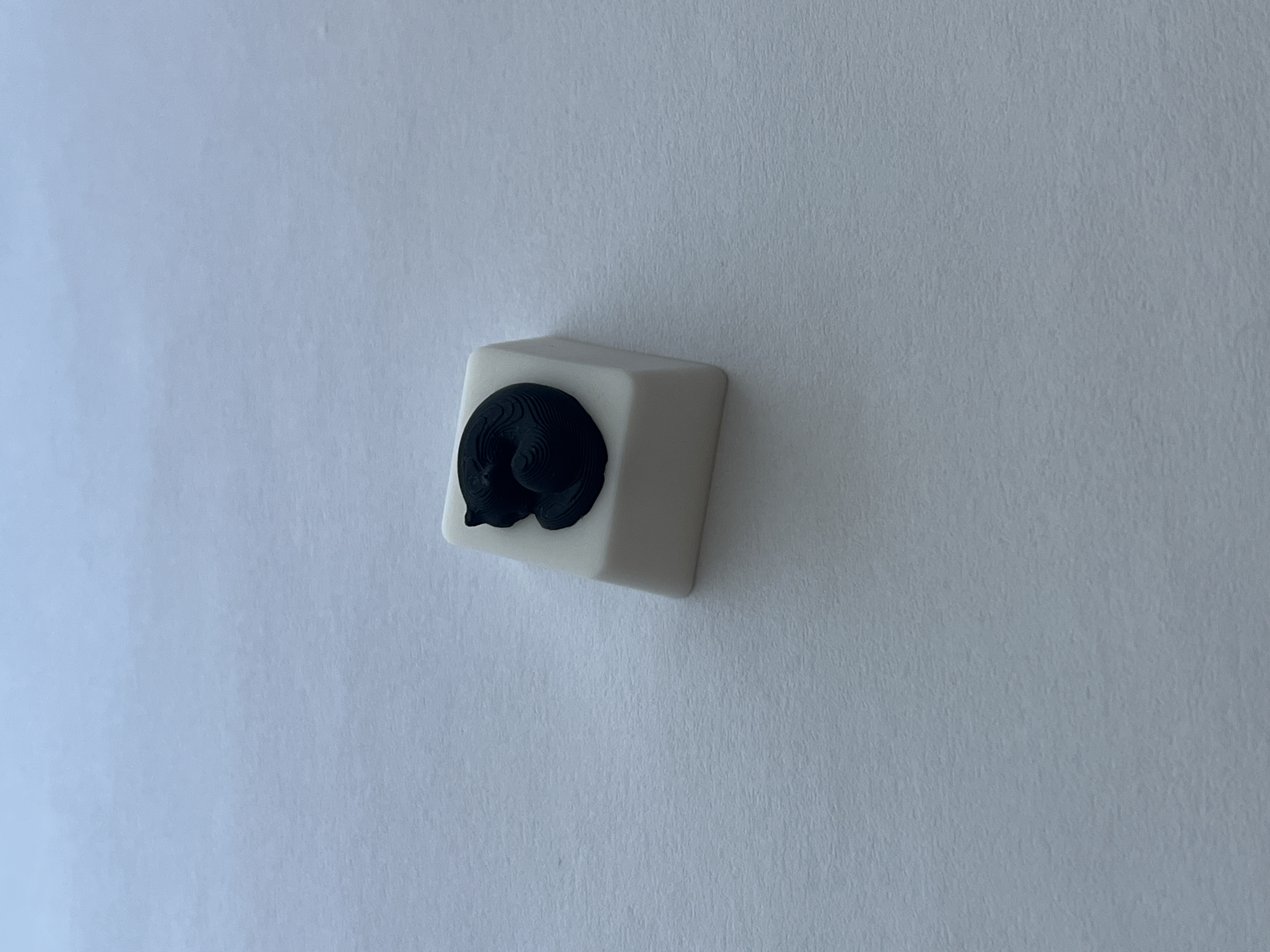 Sleepy Cat Keycap by Retttty | Download free STL model | Printables.com