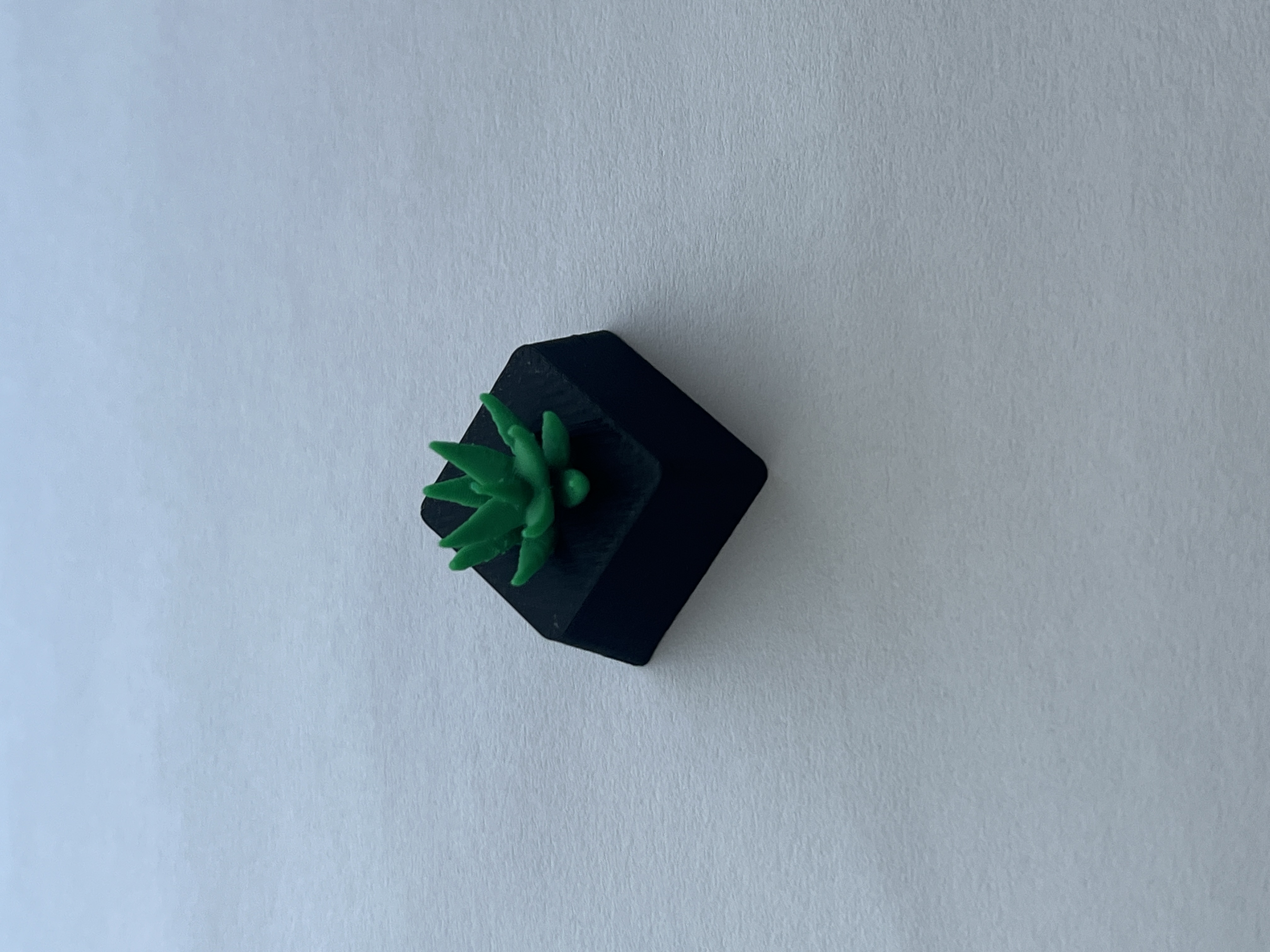 Succulent keycap by Retttty | Download free STL model | Printables.com
