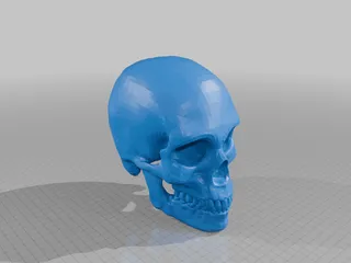 Human Skull by Jimson | Download free STL model | Printables.com