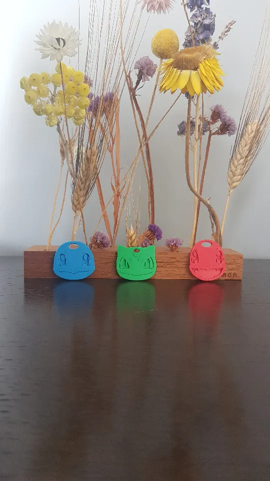 Pokemon Keychain by Biagio-3D | Download free STL model | Printables.com