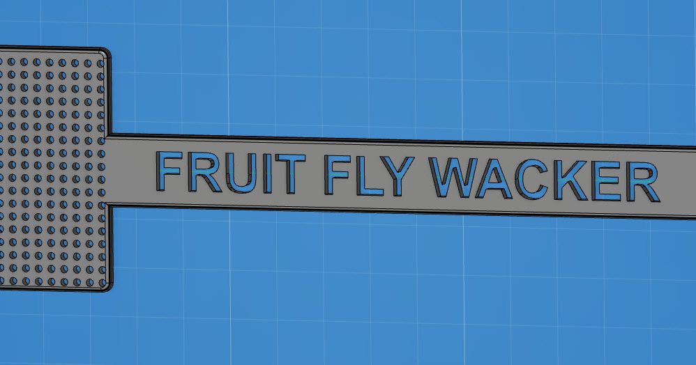 Fruit Fly Wacker by TimW | Download free STL model | Printables.com