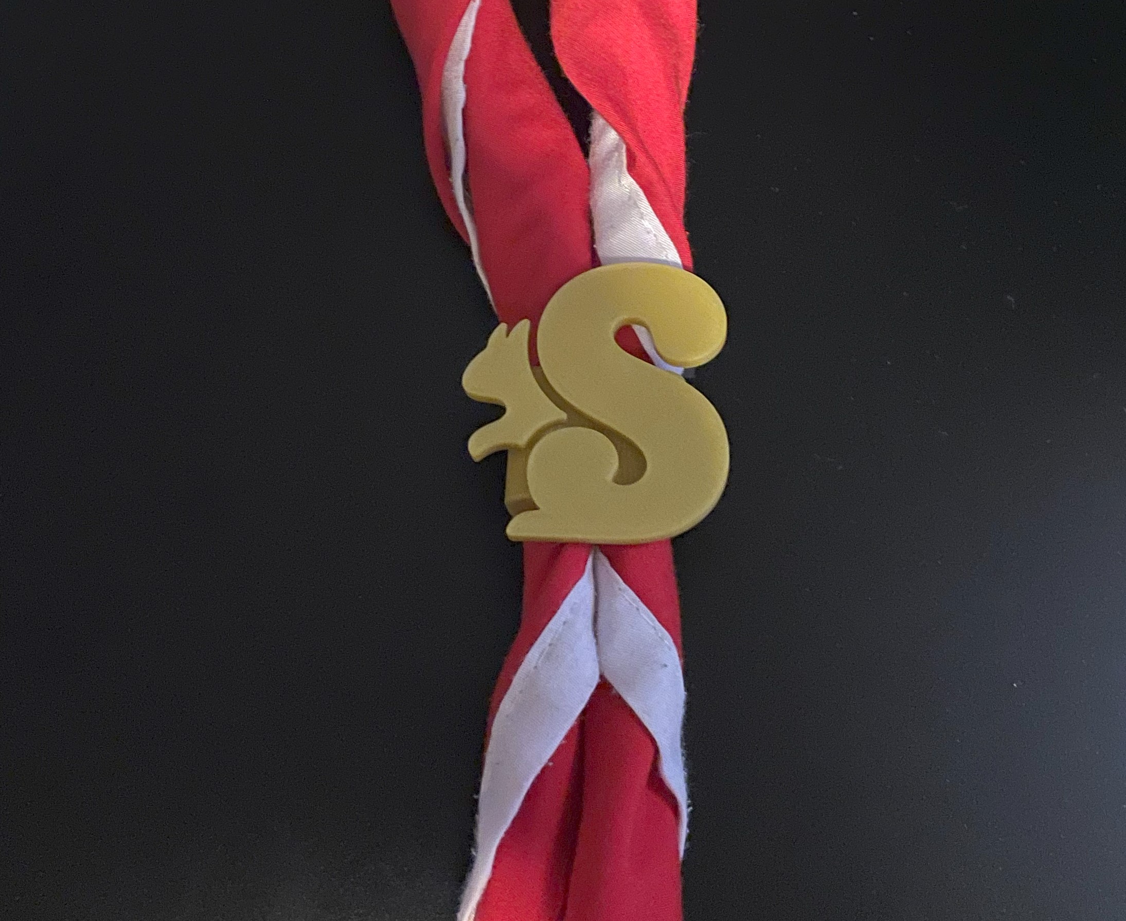 Squirrels Woggle (Scouting) por Stuffygibbon | Descargar modelo STL ...