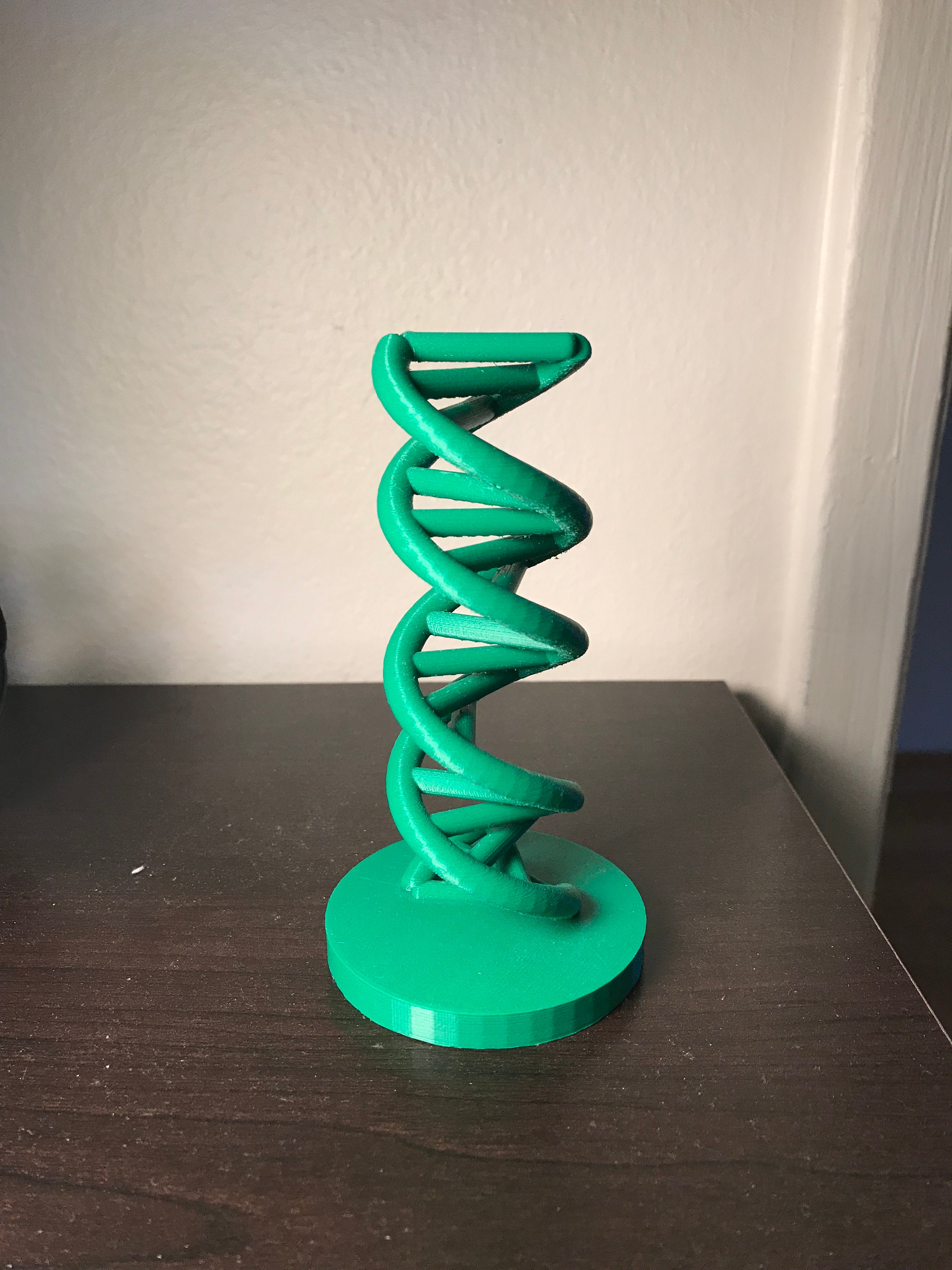 DNA to scale. by unknown | Download free STL model | Printables.com