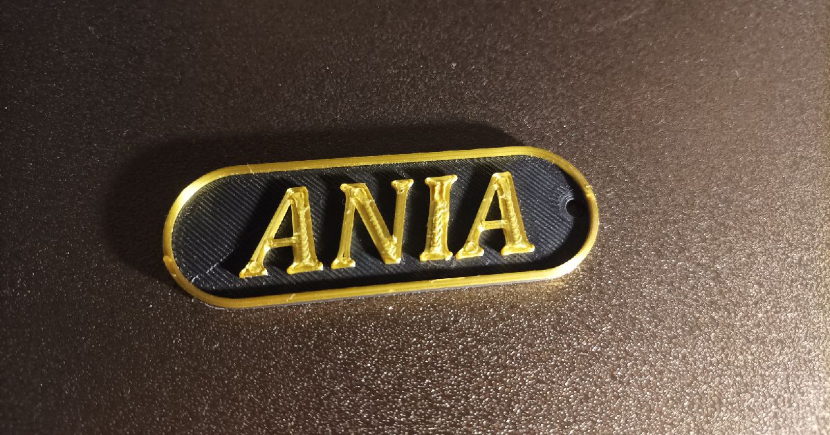 Ania keychain by SCANER | Download free STL model | Printables.com