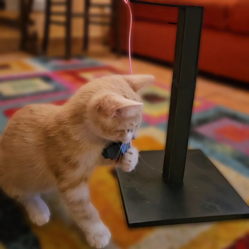 Cat toy by giomex | Download free STL model | Printables.com