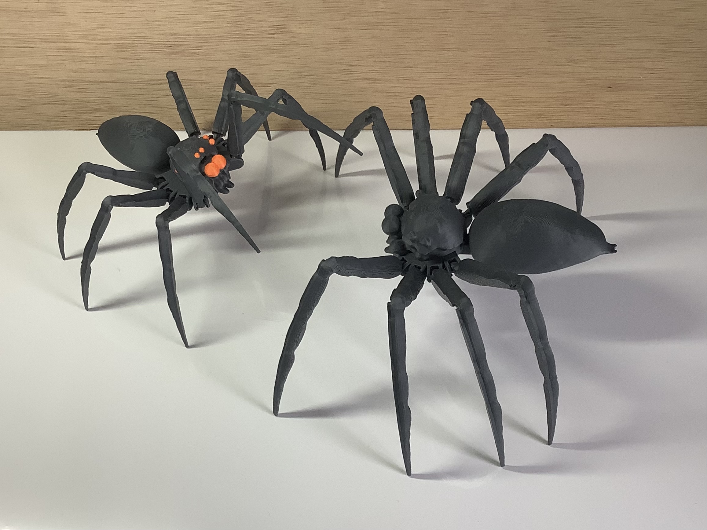 Spider: print in place AND tight! by JMV38 | Download free STL model ...