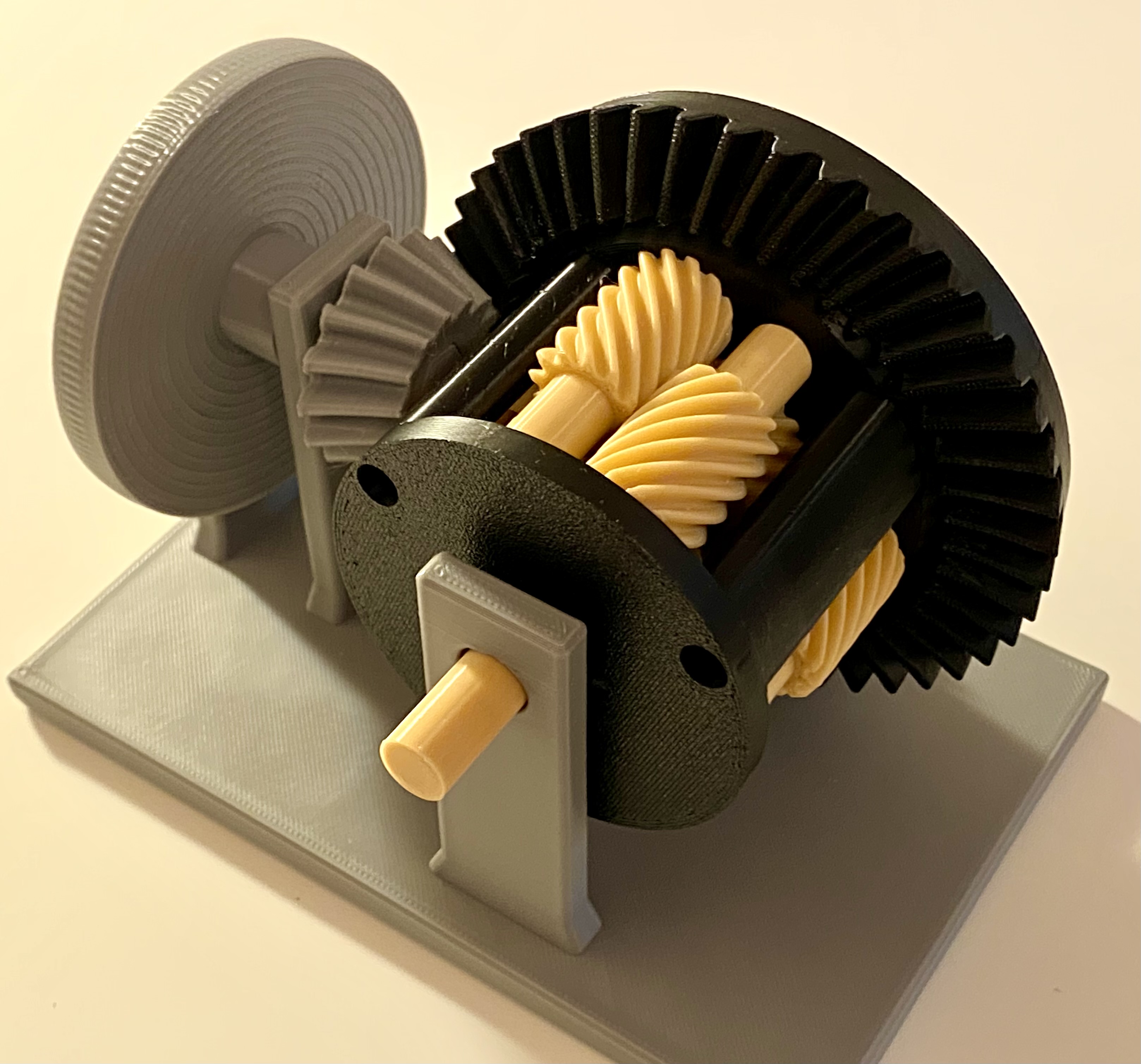 Torsen Differential Type 2 - with base von floano | Kostenloses STL ...
