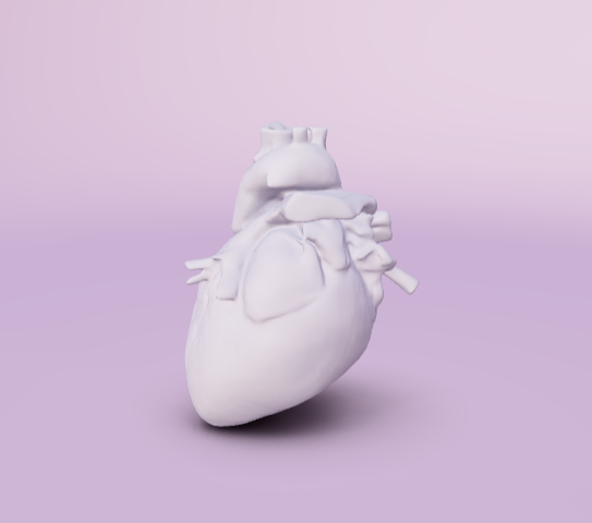 Human heart by Wael21 | Download free STL model | Printables.com
