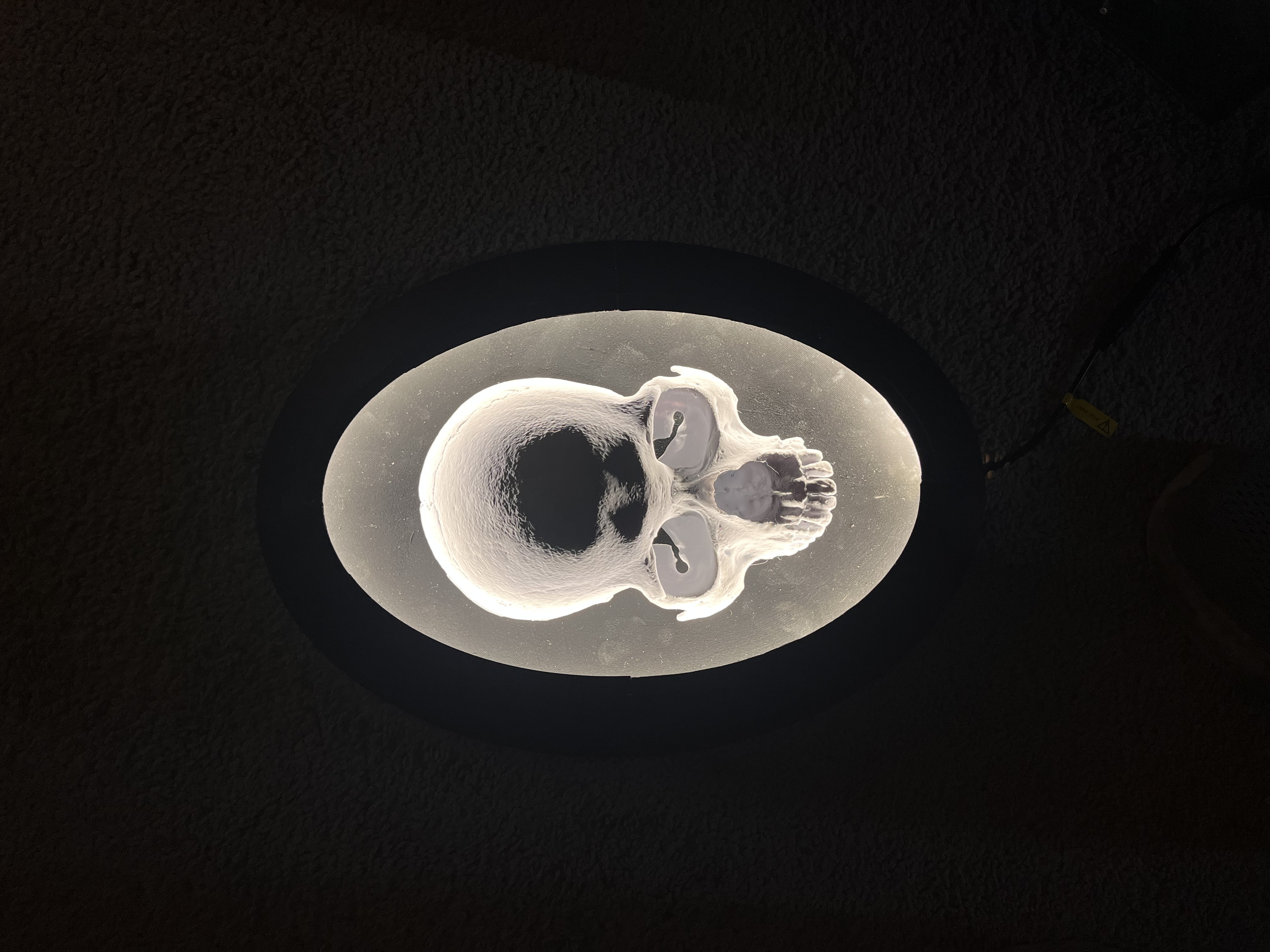 Skull shadow box by NeffDesigns | Printables Store
