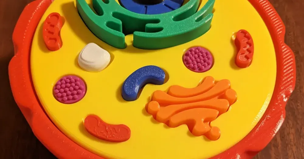 Buildable Cell model da Zachary Louis May | Scarica il modello STL ...