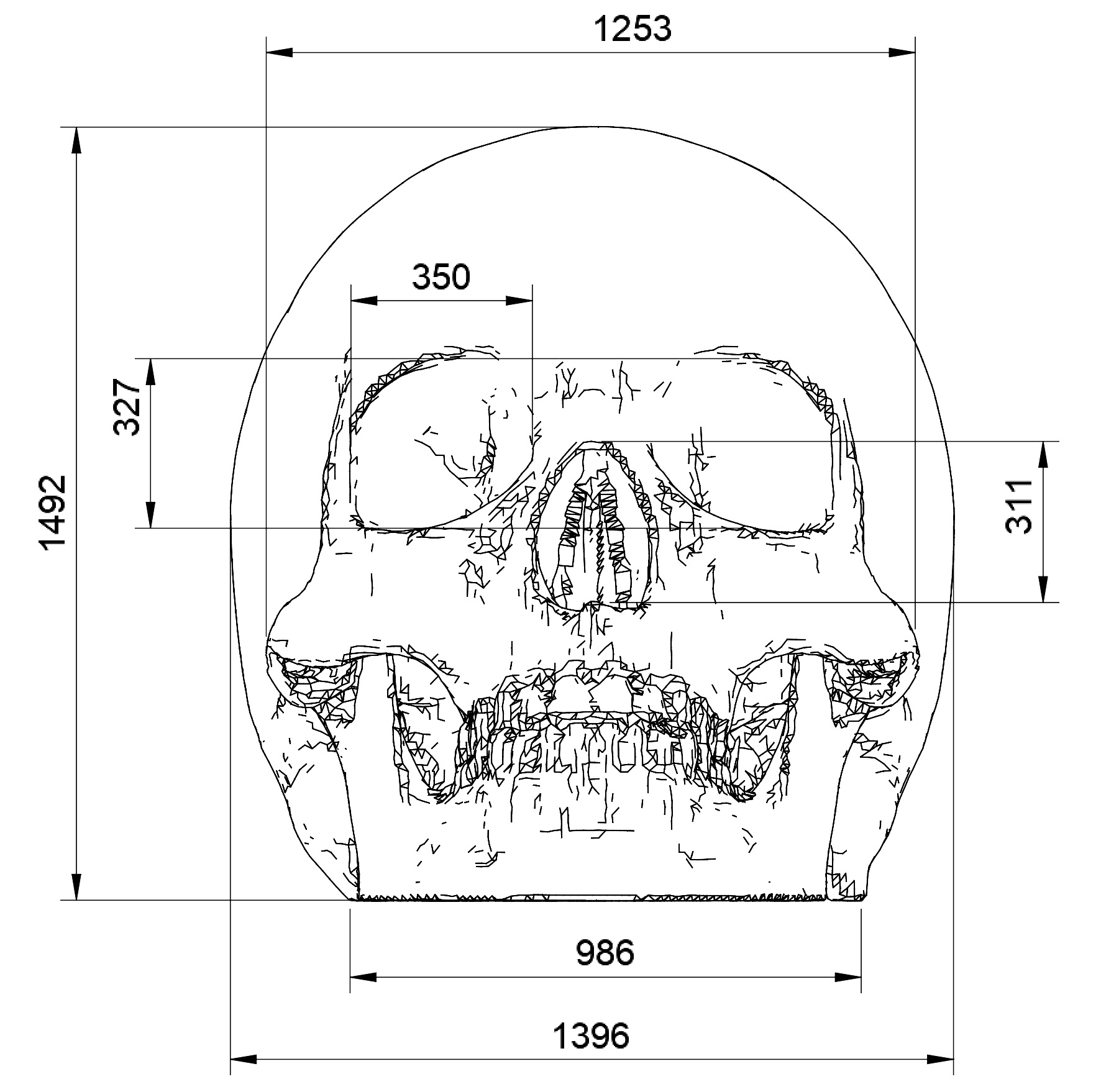Human Skull by vidision | Download free STL model | Printables.com