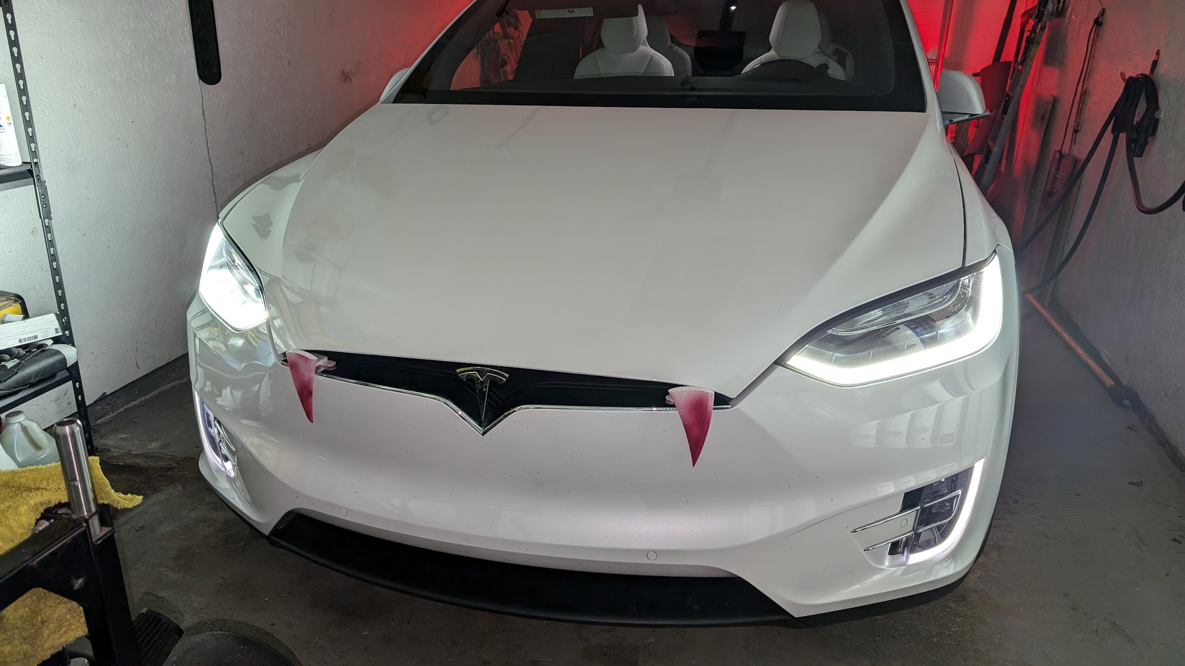 Model X Fangs by gcrate | Download free STL model | Printables.com