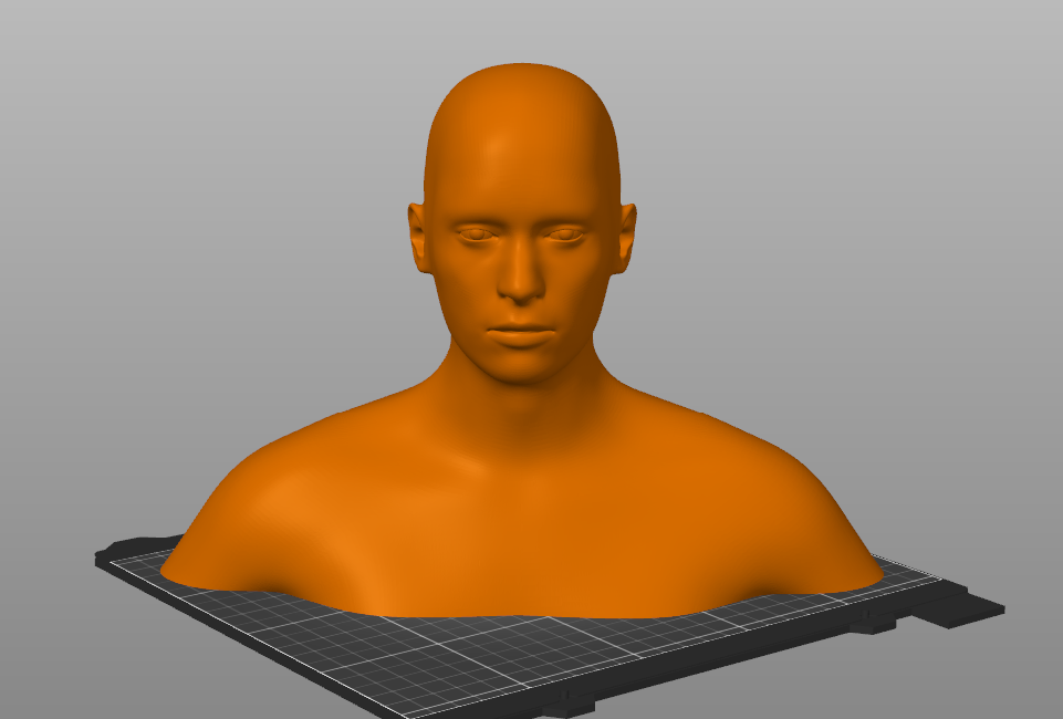 Human Head and Shoulders by Omar El Gendy | Download free STL model ...
