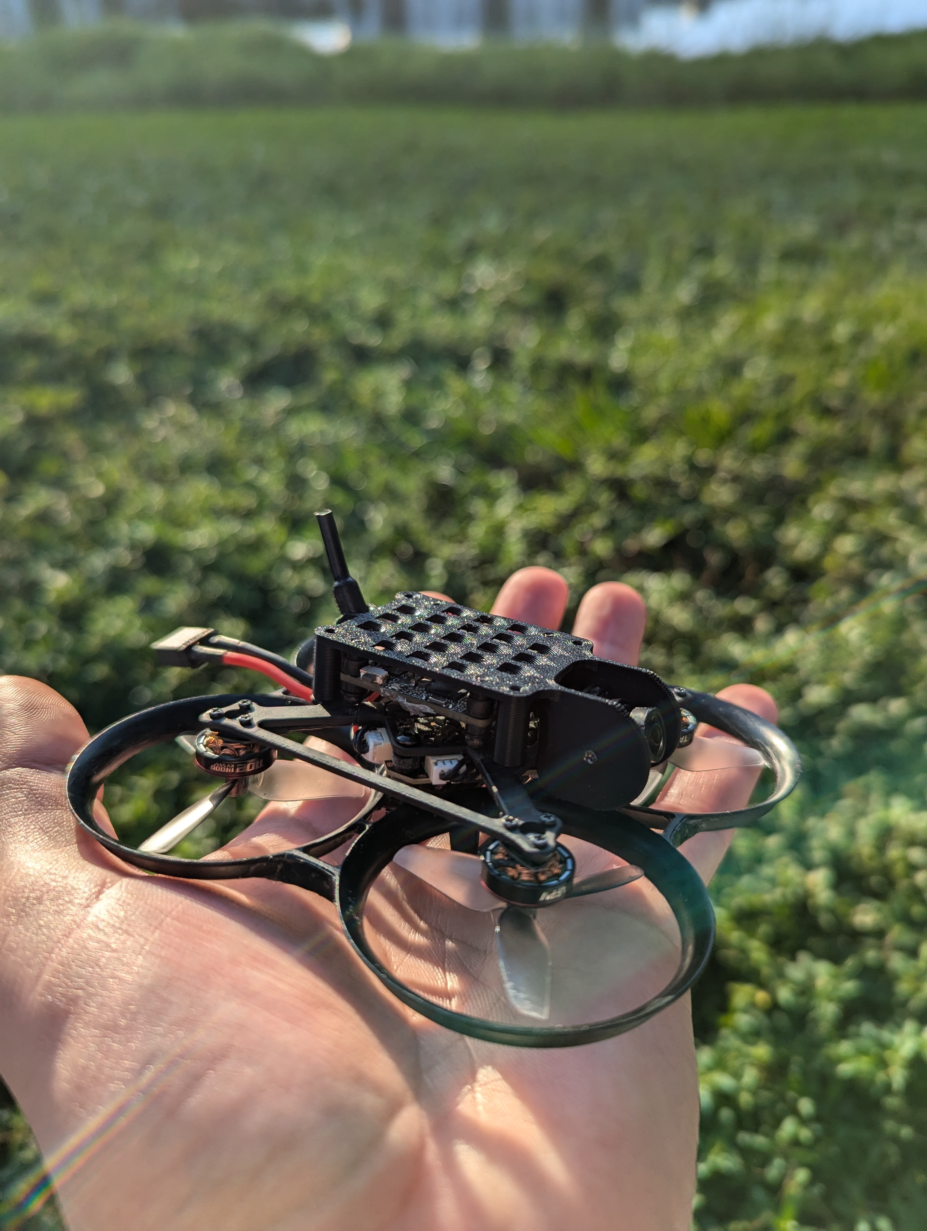 Pavo Pico Walksnail Avatar Canopy by fpvgio | Download free STL model | Printables.com