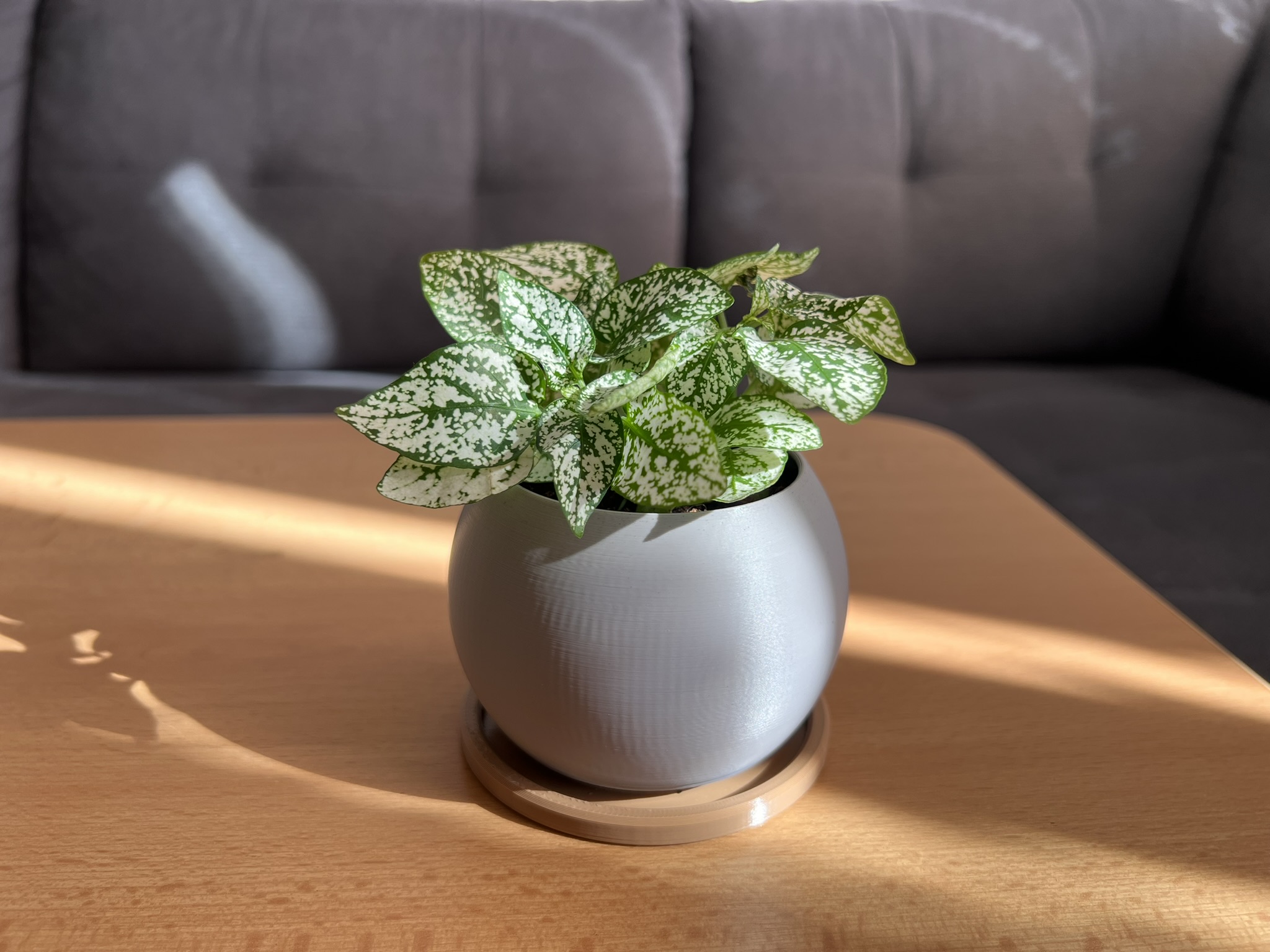 Simple planter by iZboxo | Download free STL model | Printables.com