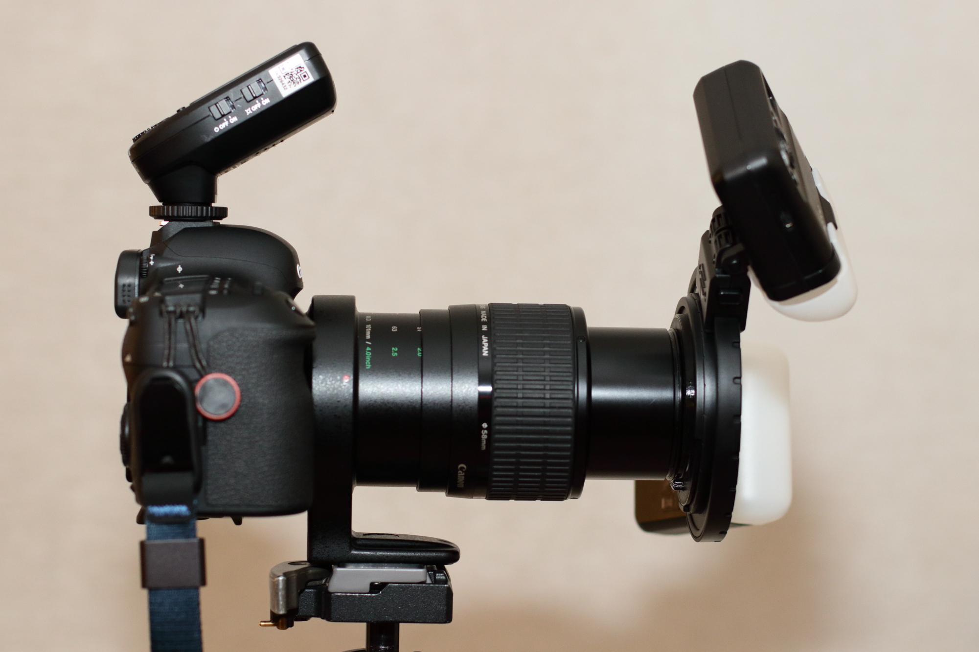 Canon MP-E 65mm flash adapter ring for Godox MF12 by ben-s | Download free STL model ...