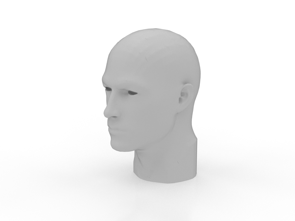 Scaled Human Head for Prototyping by Henry Levesque | Download free STL ...