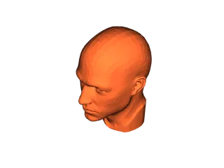 Scaled Human Head for Prototyping by Henry Levesque | Download free STL ...
