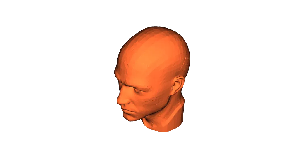 Scaled Human Head for Prototyping by Henry Levesque | Download free STL ...