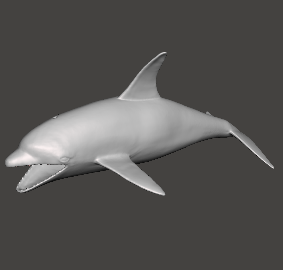 Dolphin Toy 3D Scanned by IEVO Design | Download free STL model ...