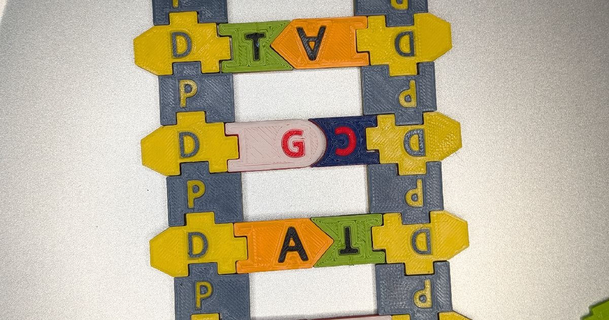 Magnetic DNA / RNA Manipulative Tiles by 3D-PT | Download free STL ...