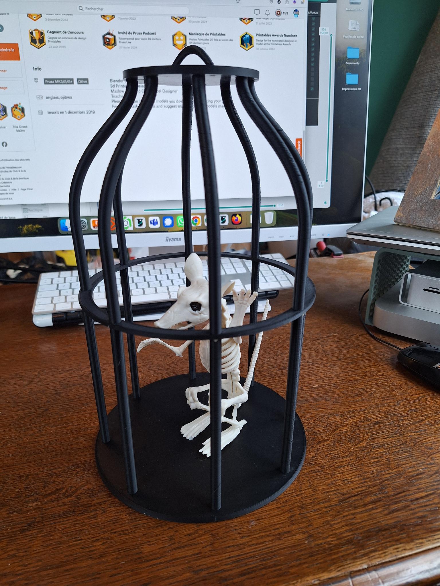 Cage by JoOj | Download free STL model | Printables.com