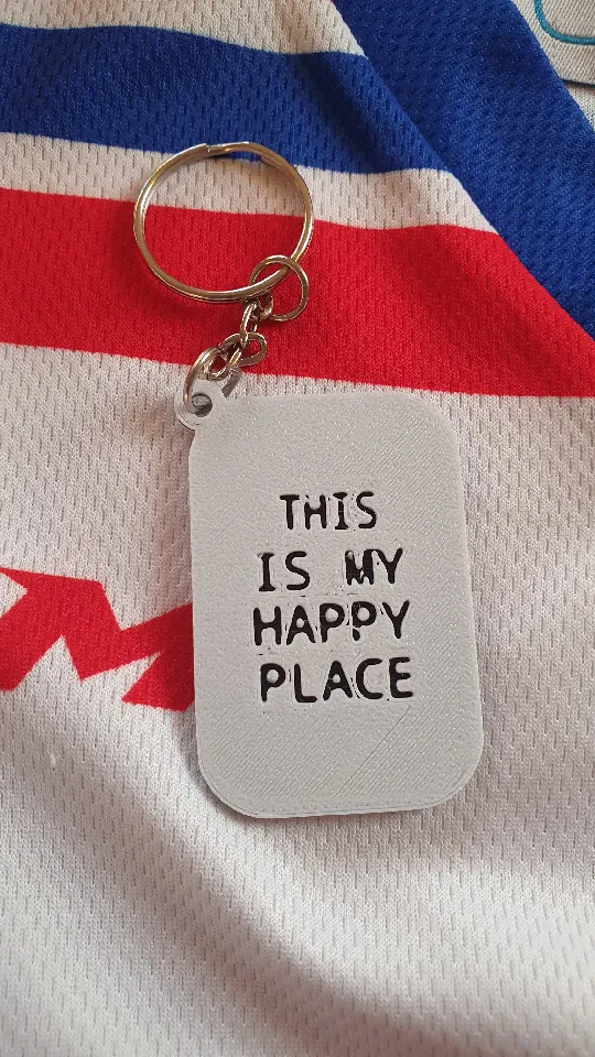 ICE RINK keychain by StanDed | Download free STL model | Printables.com