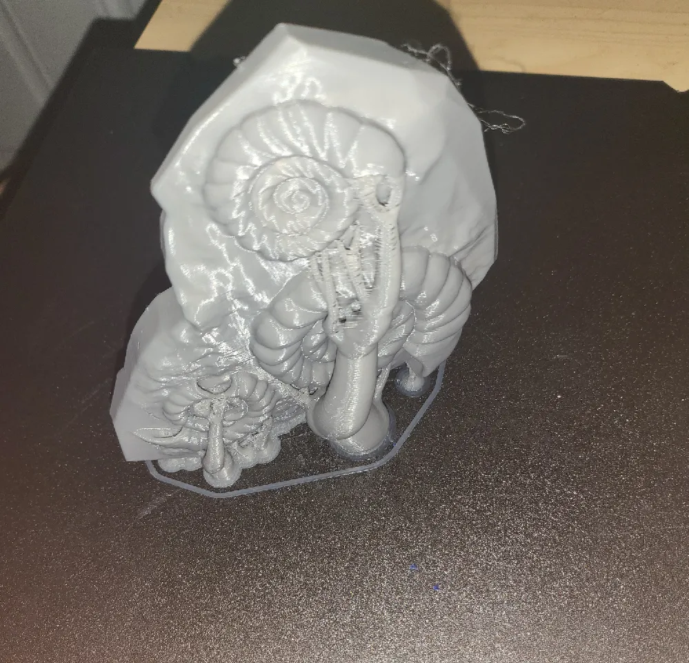 Ammonite Fossil by Manny | Download free STL model | Printables.com