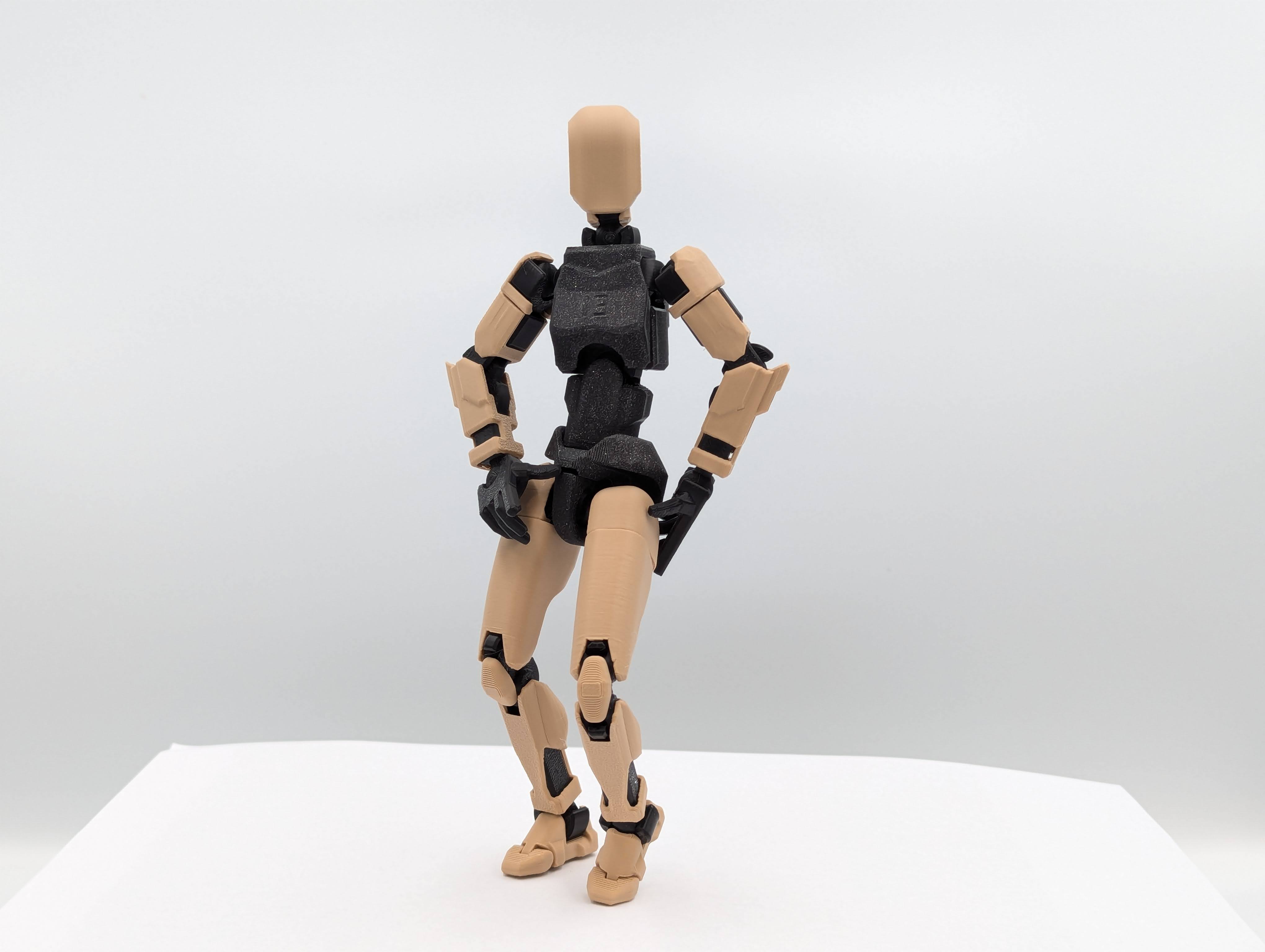 Lady dummy 13, female model, v1.0 by Vasichkin | Download free STL model | Printables.com