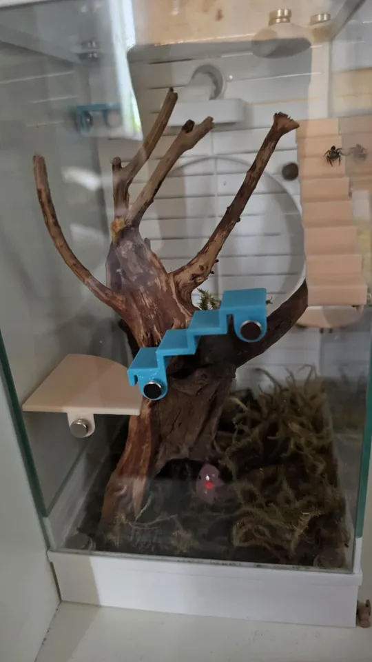 Spider Habitat Stair & Platform Accessories by Jay Peero | Download ...