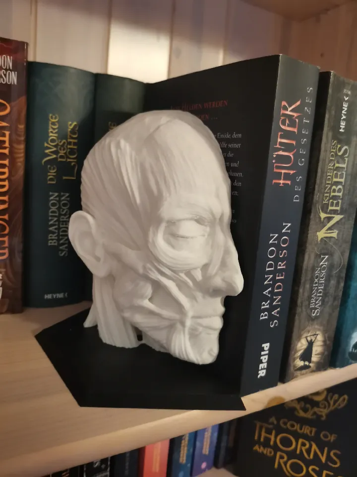 Ecorche Bookends - Human Anatomy by Xipit | Download free STL model ...