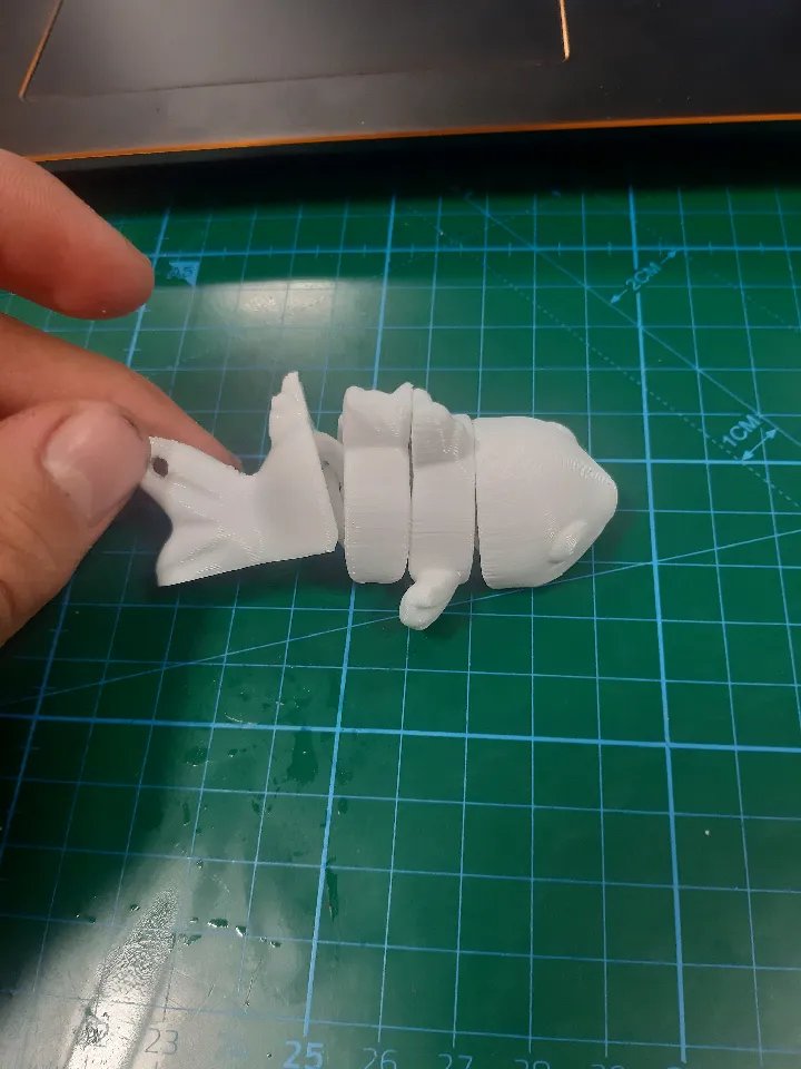 fish keychain by 3DRoket | Download free STL model | Printables.com