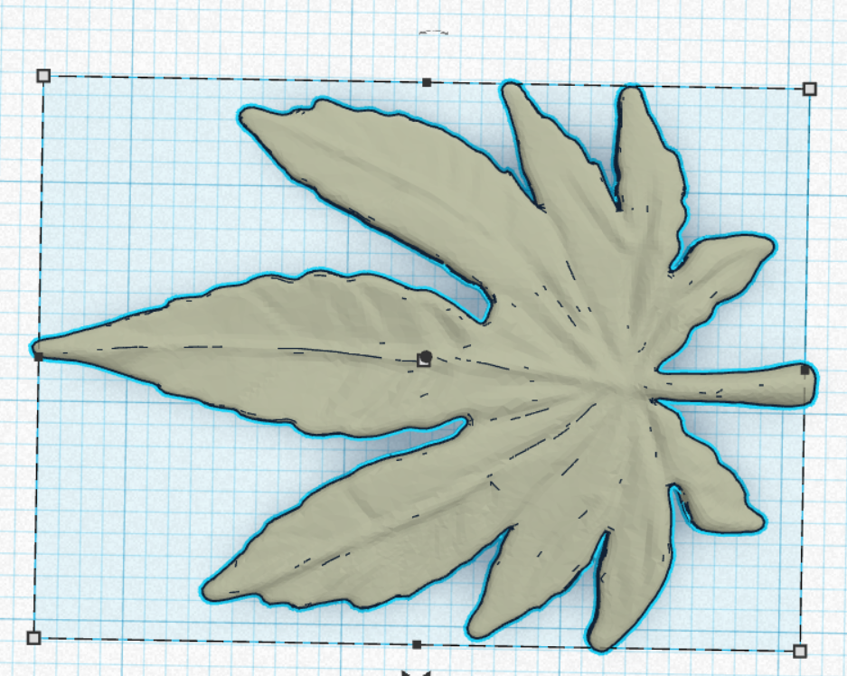 A leaf by Novaenri Carter | Download free STL model | Printables.com