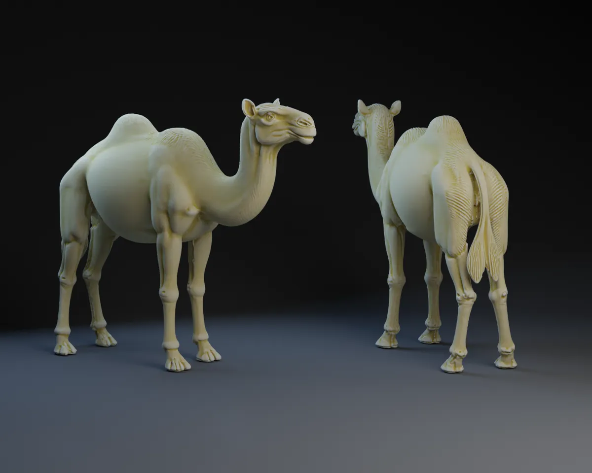 Nativity Camel by Peter Farell | Download free STL model | Printables.com