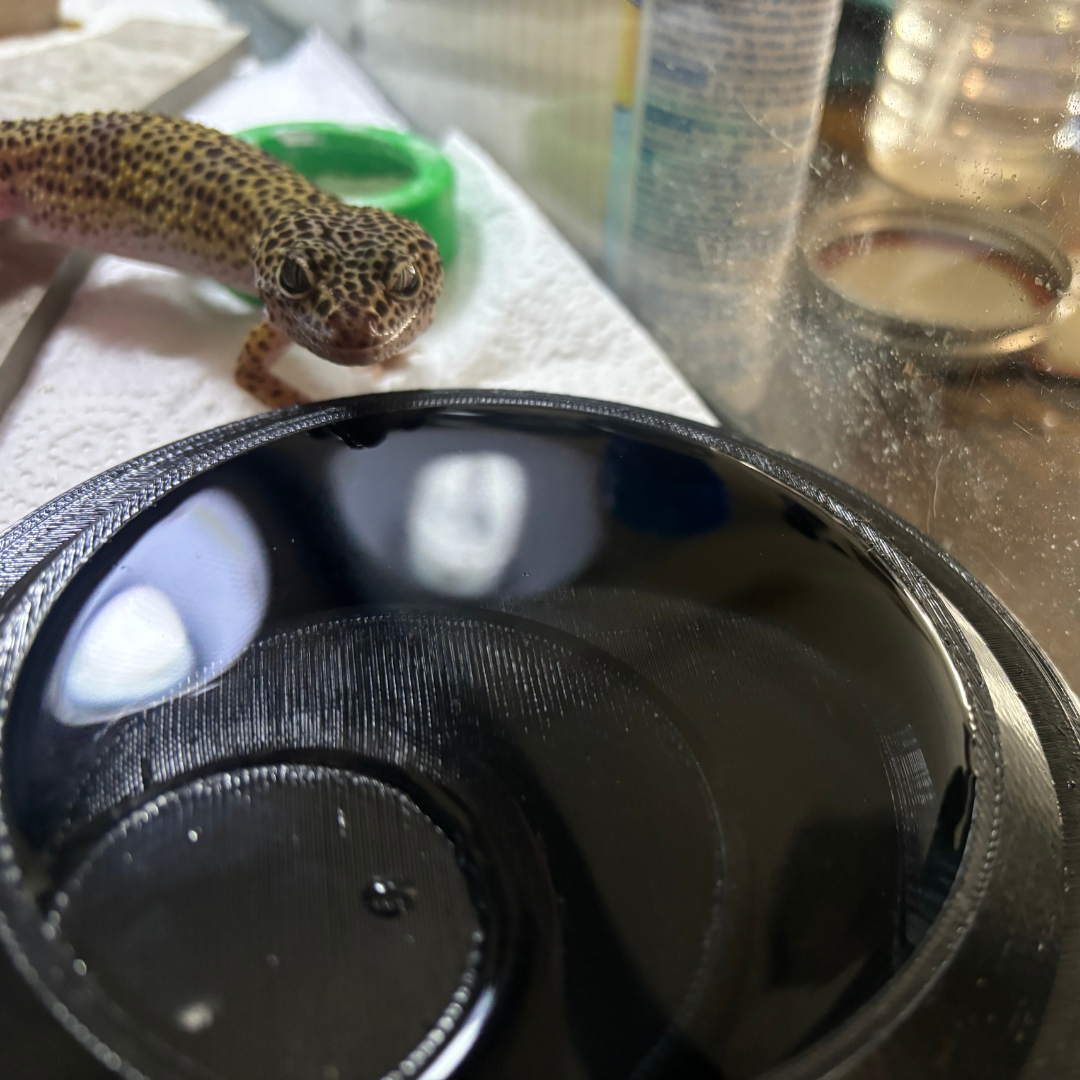 Reptile Water Bowl, Stepped by Layered Art | Download free STL model ...