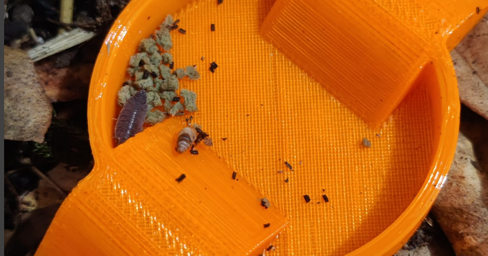 Isopod feeding dish tray by ZincLeadAlloy | Download free STL model ...