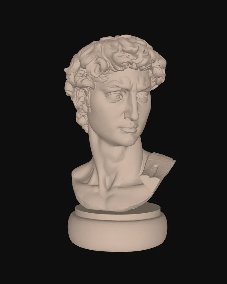 Bust of David by Michelangelo by 3Dnuthead | Download free STL model ...
